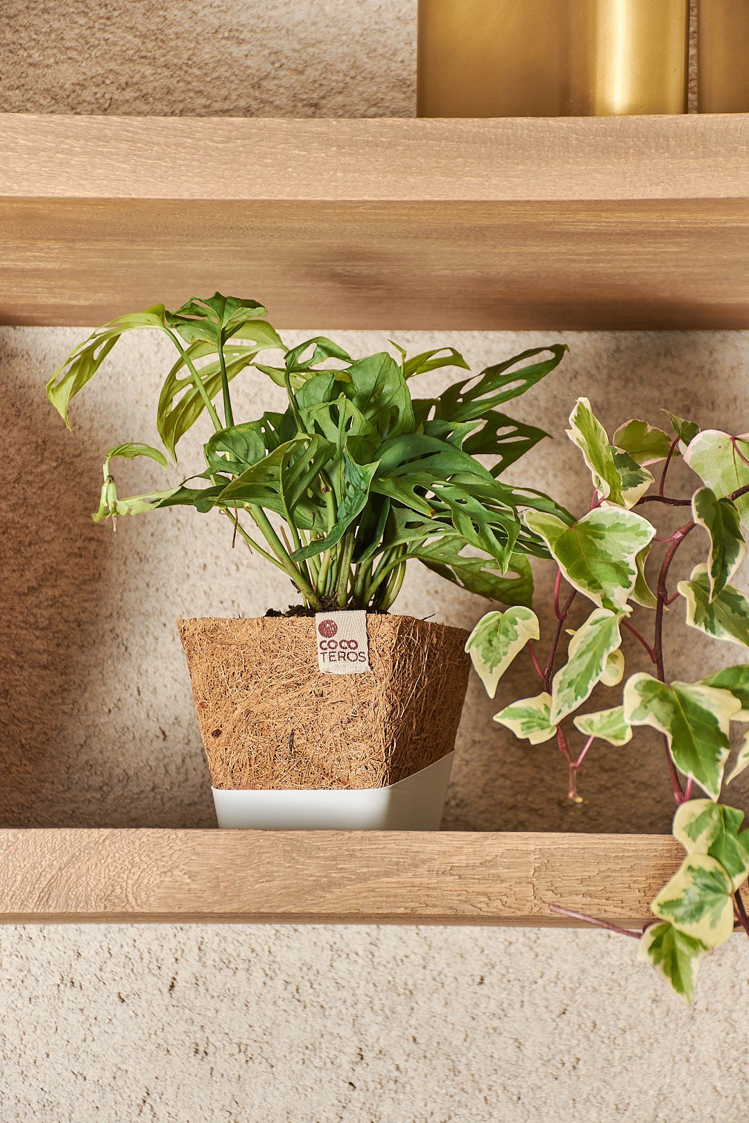 Handmade Eco-friendly Coconut Fiber Pot With Bioplastic, Biodegradable ...