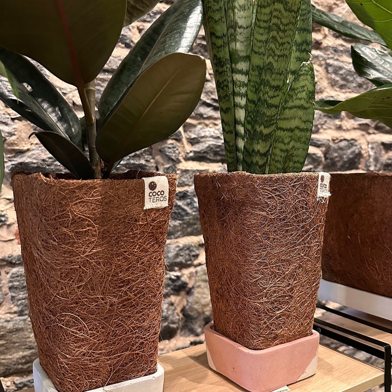 Tall Narrow Planter - Etsy
