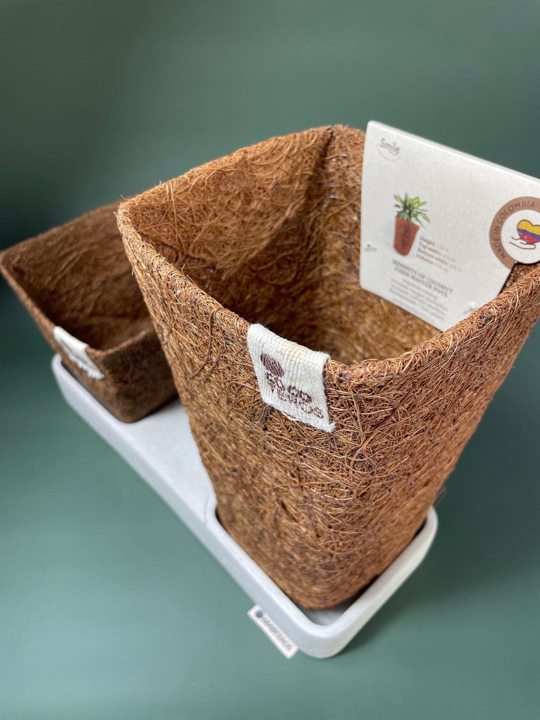 Double Planter, Mix and Match and Make Your Indoor Garden Pop, 2 Pots ...