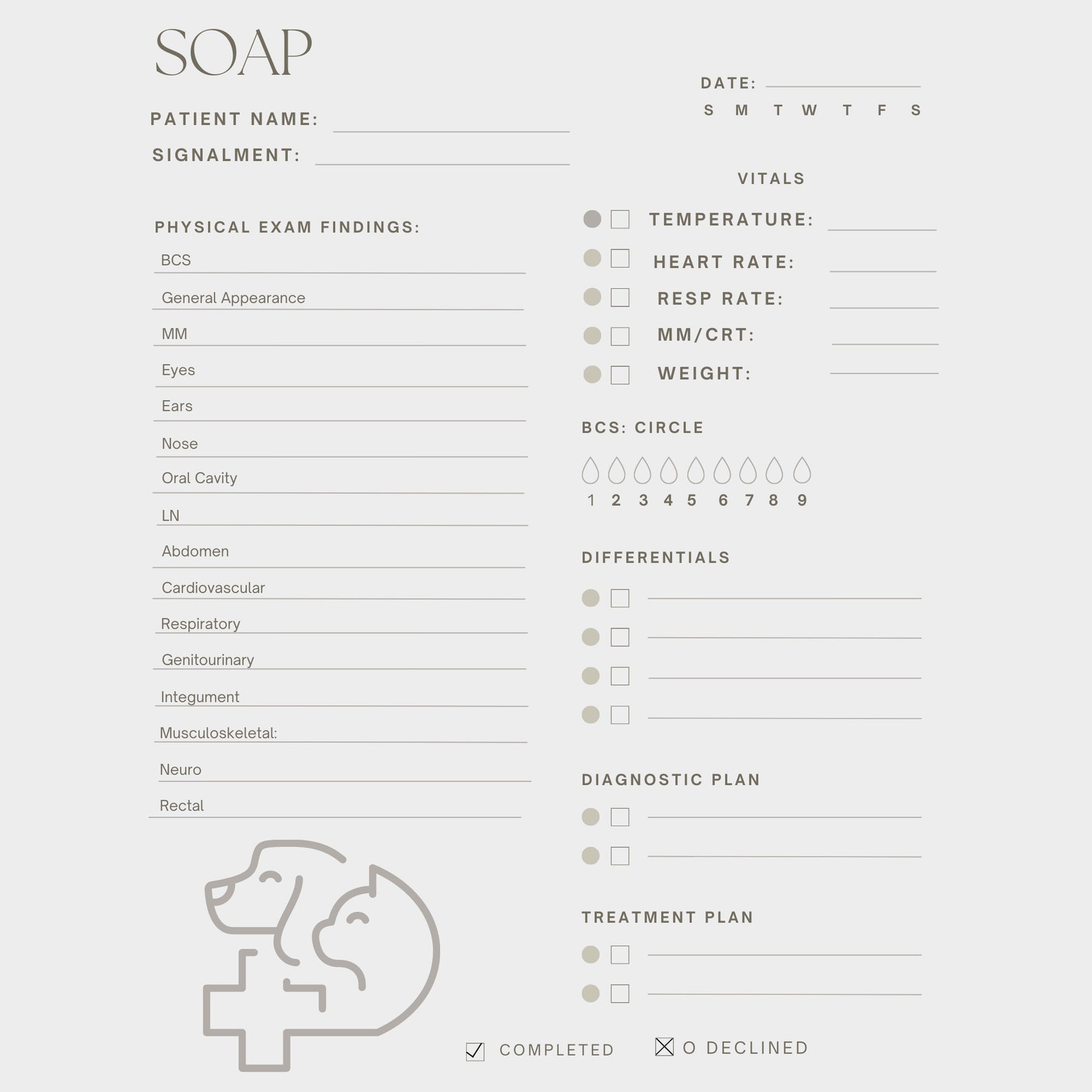 Veterinary SOAP Template; Easy Download. Vetmed Record Template ...