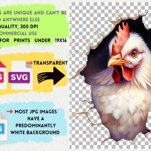 3d Farm Animal Clipart, Wall Art Quality, 15 Images, Commercial License ...