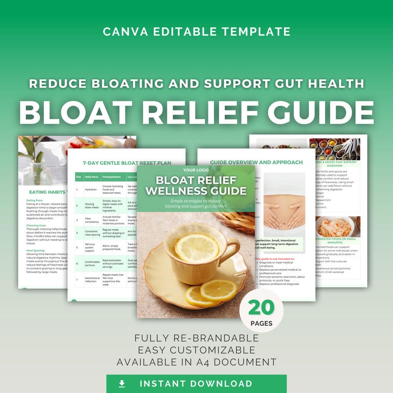 Bloat Relief Reset Guide – Gentle Digestive Wellness Editable Canva ...
