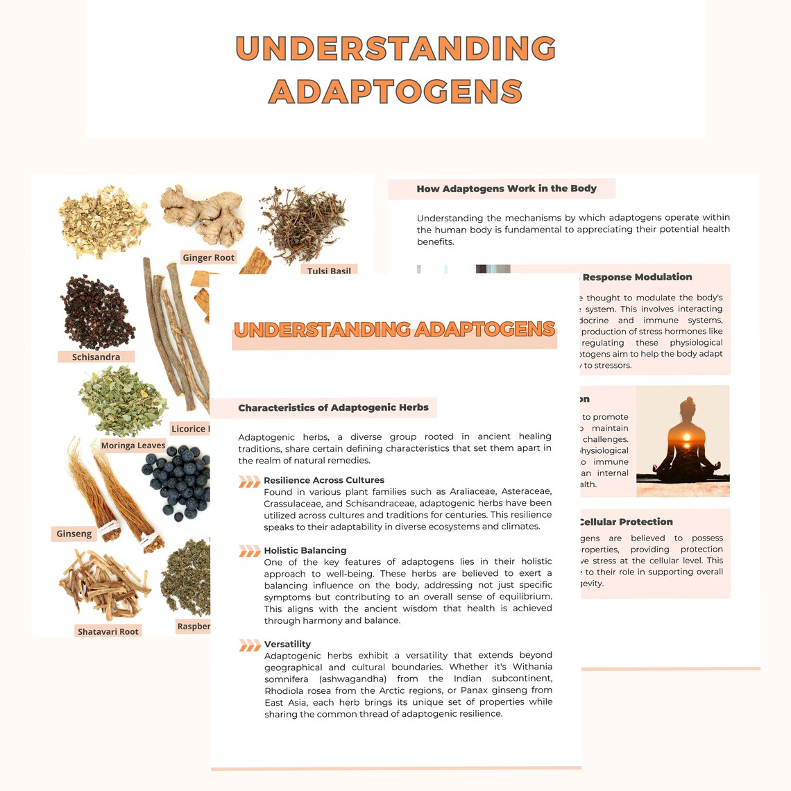 Adaptogens Guide Template Editable Canva Design Herbal Wellness ...