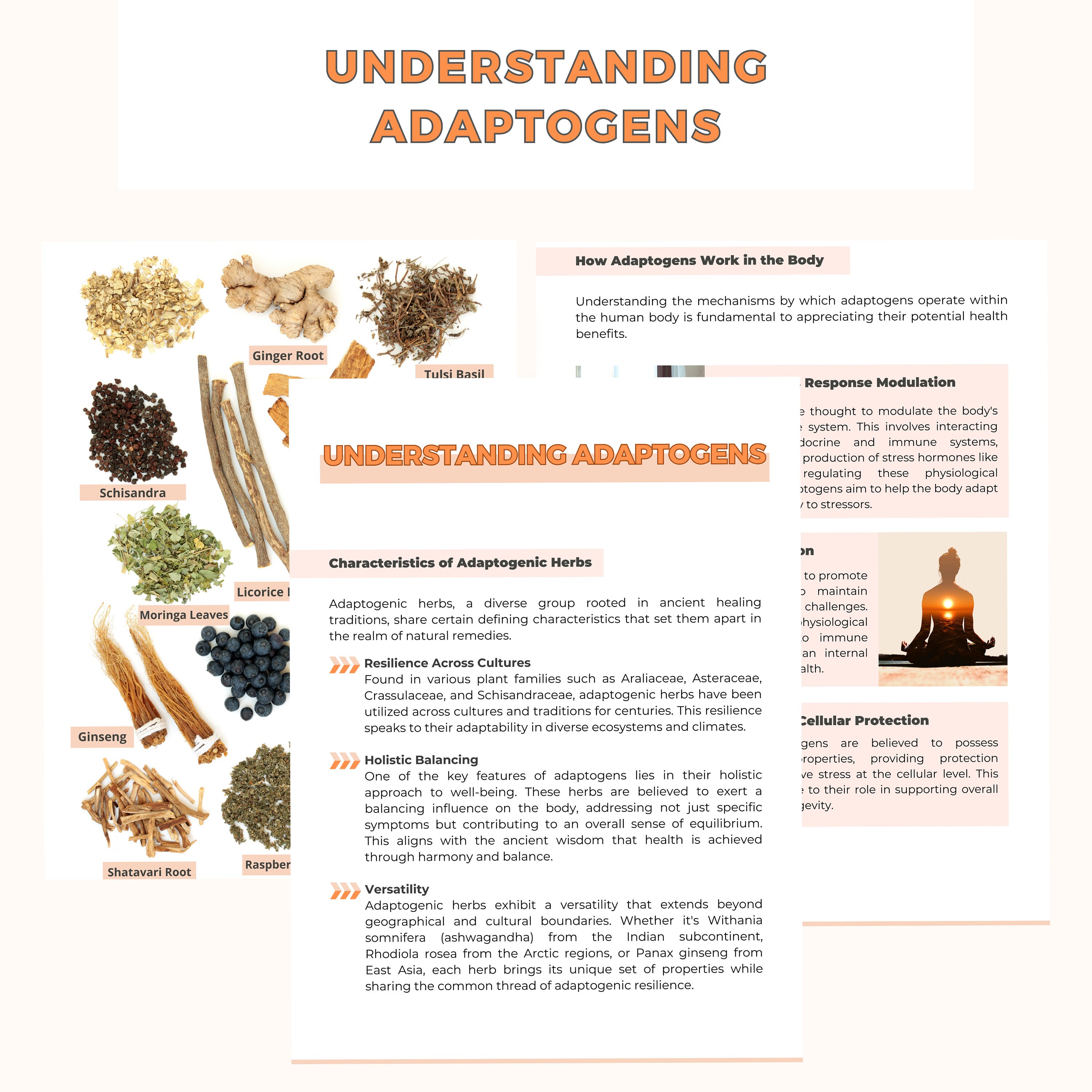 Adaptogens Guide Template Editable Canva Design Herbal Wellness ...