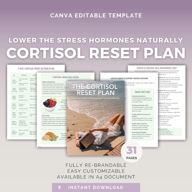 The Hormone Reset Plan - Etsy
