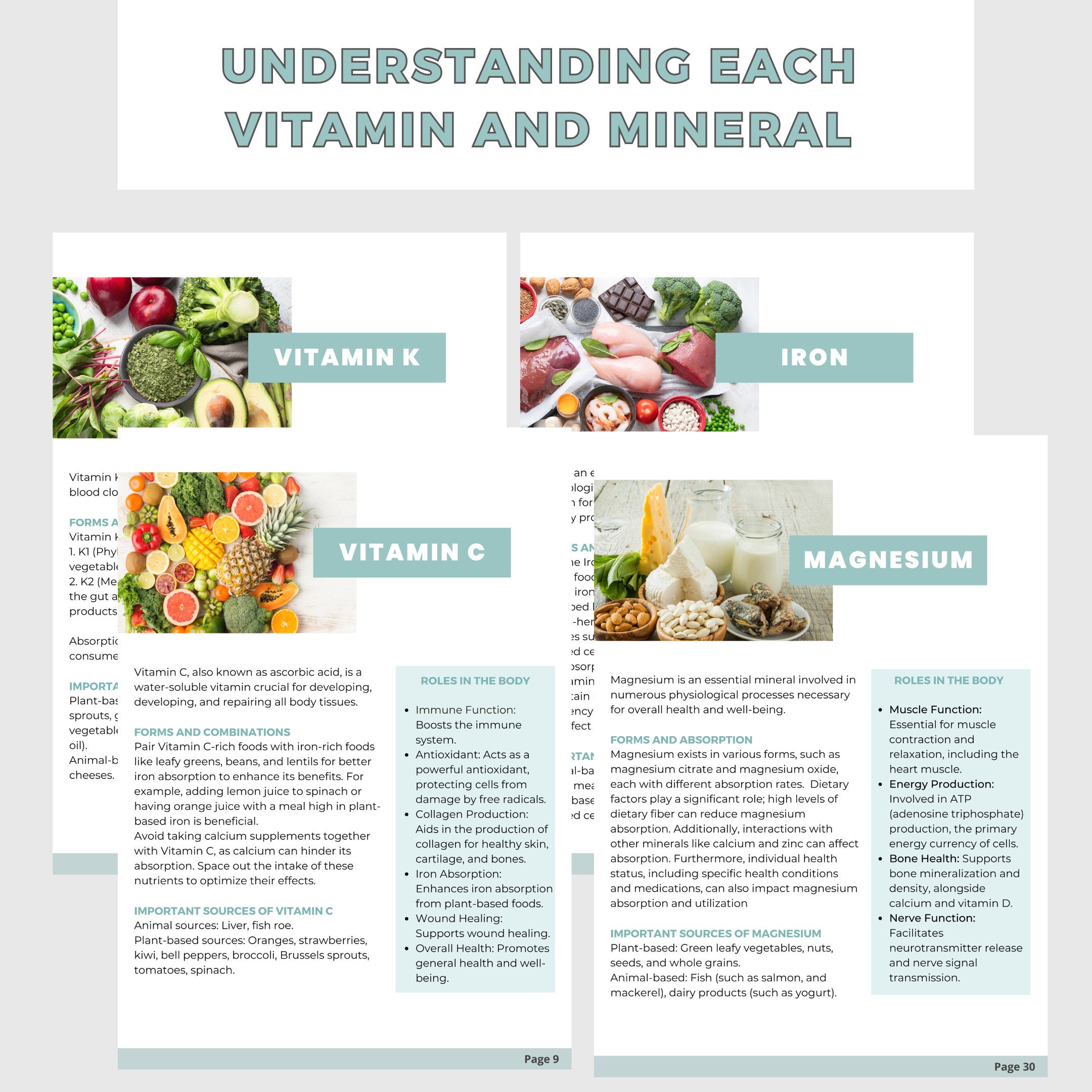 Editable Canva Micronutrients Guide Template Essential Vitamins ...