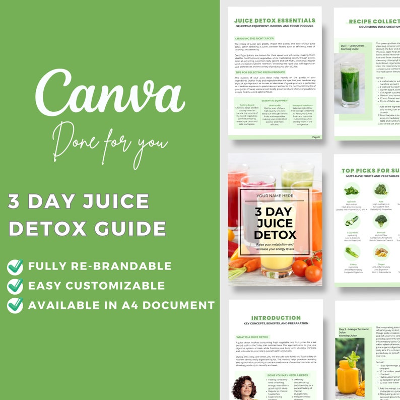 Editable Canva Template 3 Day Juice Detox Guide Diet Nutrition Cleanse ...