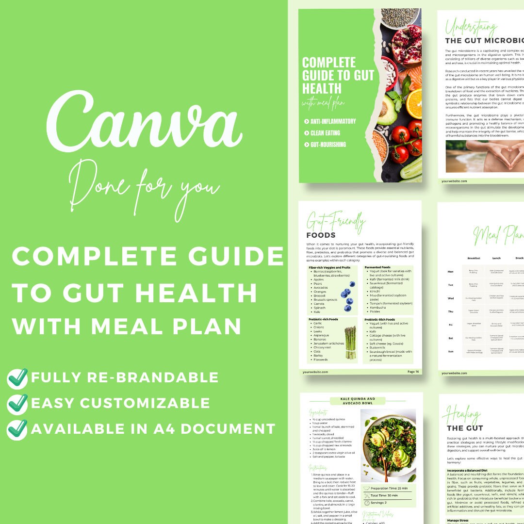 Editable Canva Template Complete Guide to Gut Health Meal Plan Nourish ...