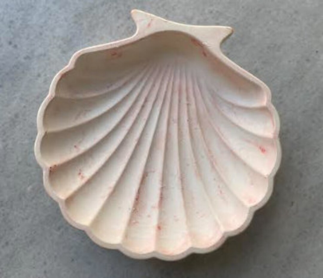 Plate Shell Scallop Ring Plate Ocean Themed Jewelry - Etsy