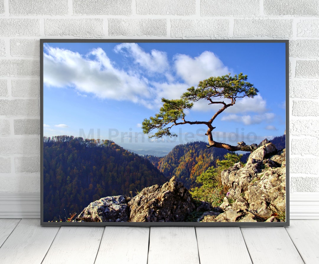 MOUNTAIN TREE SCENERY Print Nature Landscape Digital - Etsy
