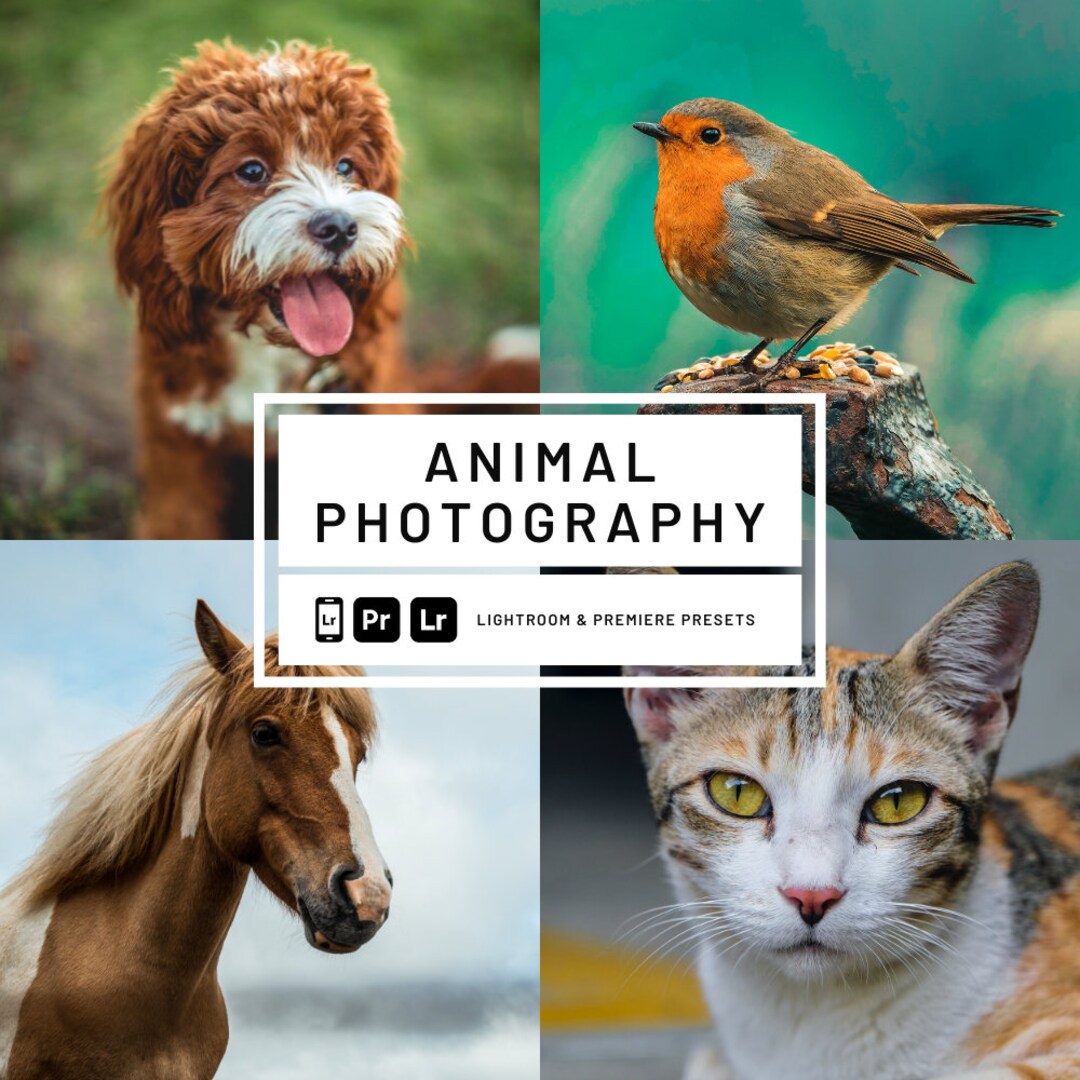 15 Lightroom Presets for Animals | Animal Presets | Mobile & Desktop ...