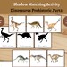 Dinosaurus Prehistoric.part2- Shadow Matching Cards, Montessori Toddler ...