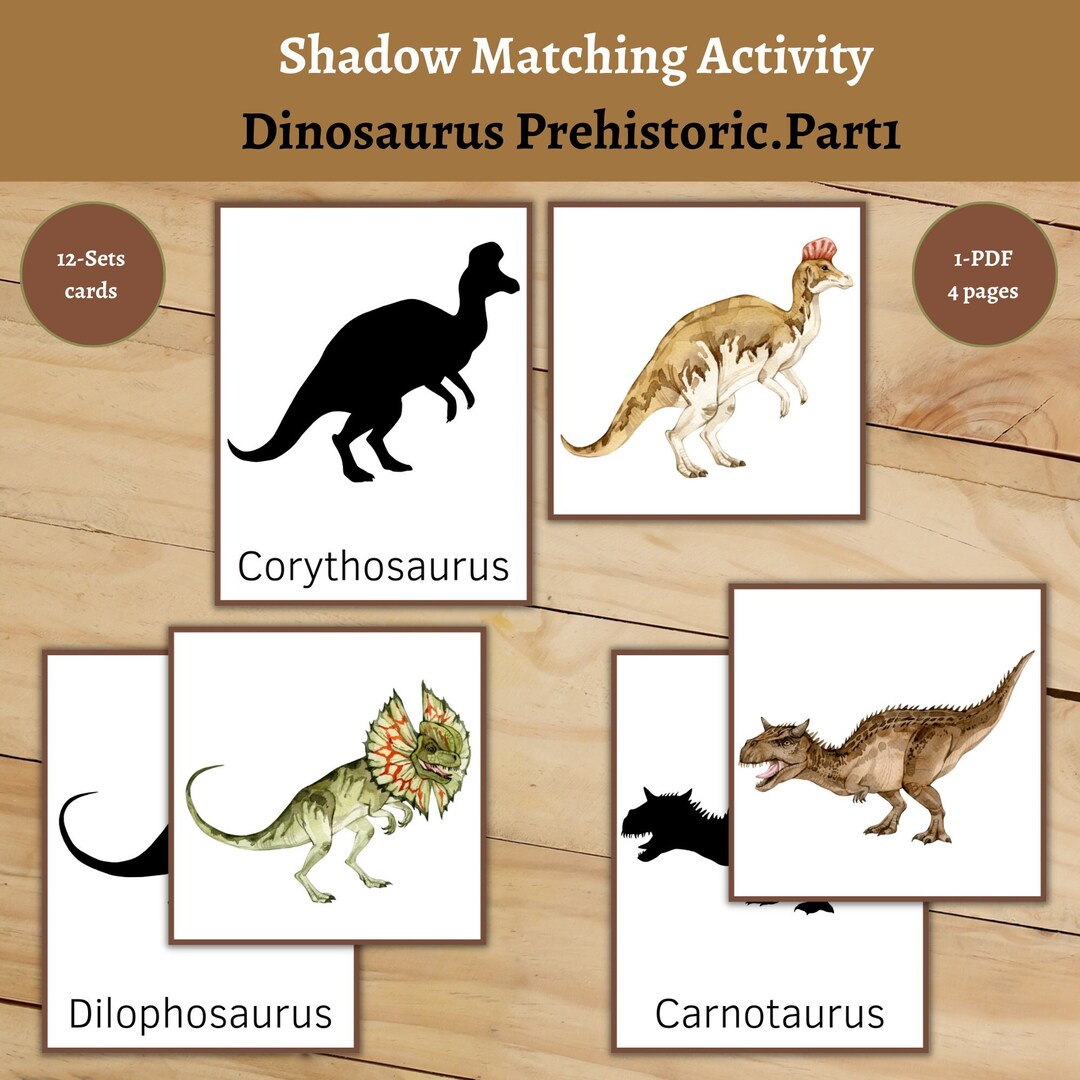 Dinosaurus Prehistoric.part1- Shadow Matching Cards, Montessori Toddler ...