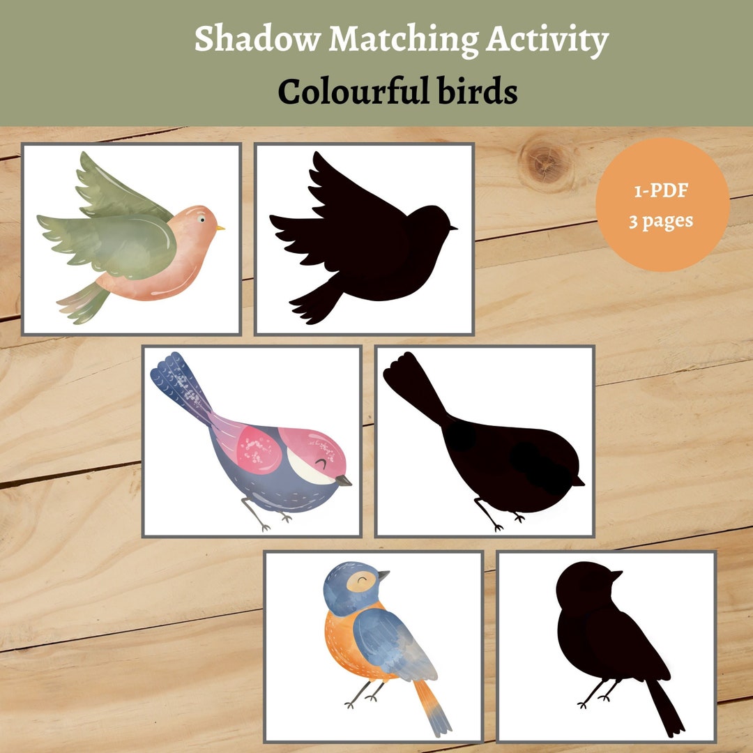 Colorful Birds Shadow Matching Cards. Montessori Summer Preschool ...