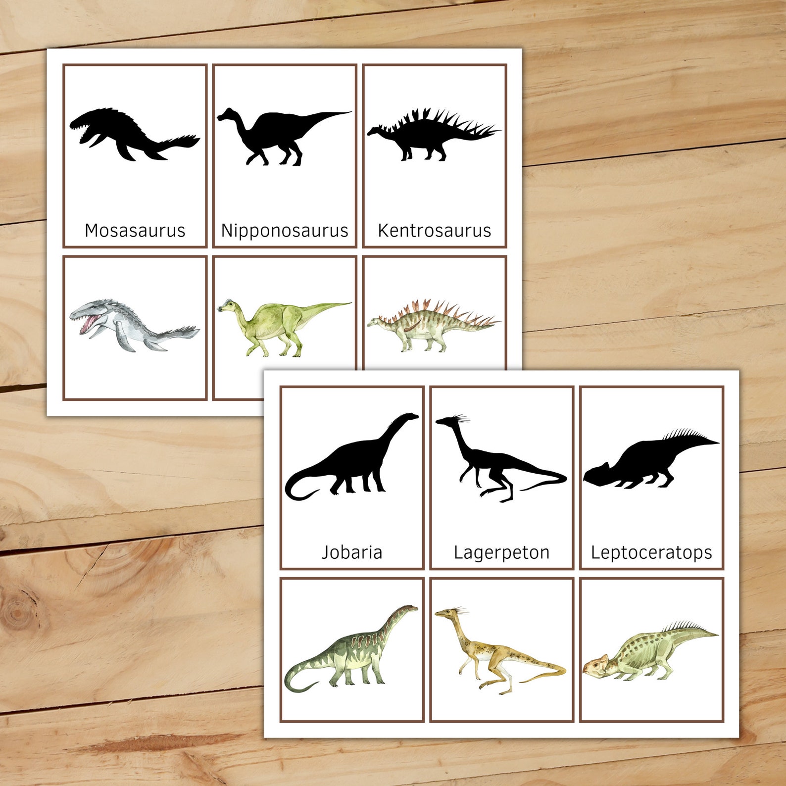 Dinosaurus Prehistoric.part2- Shadow Matching Cards, Montessori Toddler ...