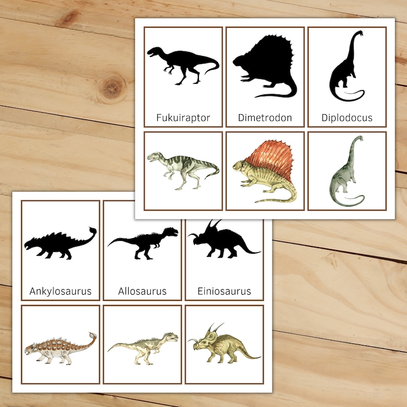 Dinosaurus Prehistoric.part1 Shadow Matching Cards - Etsy