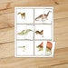 Dinosaurus Prehistoric - Halves Memory Matching Game. Toddler Matching ...