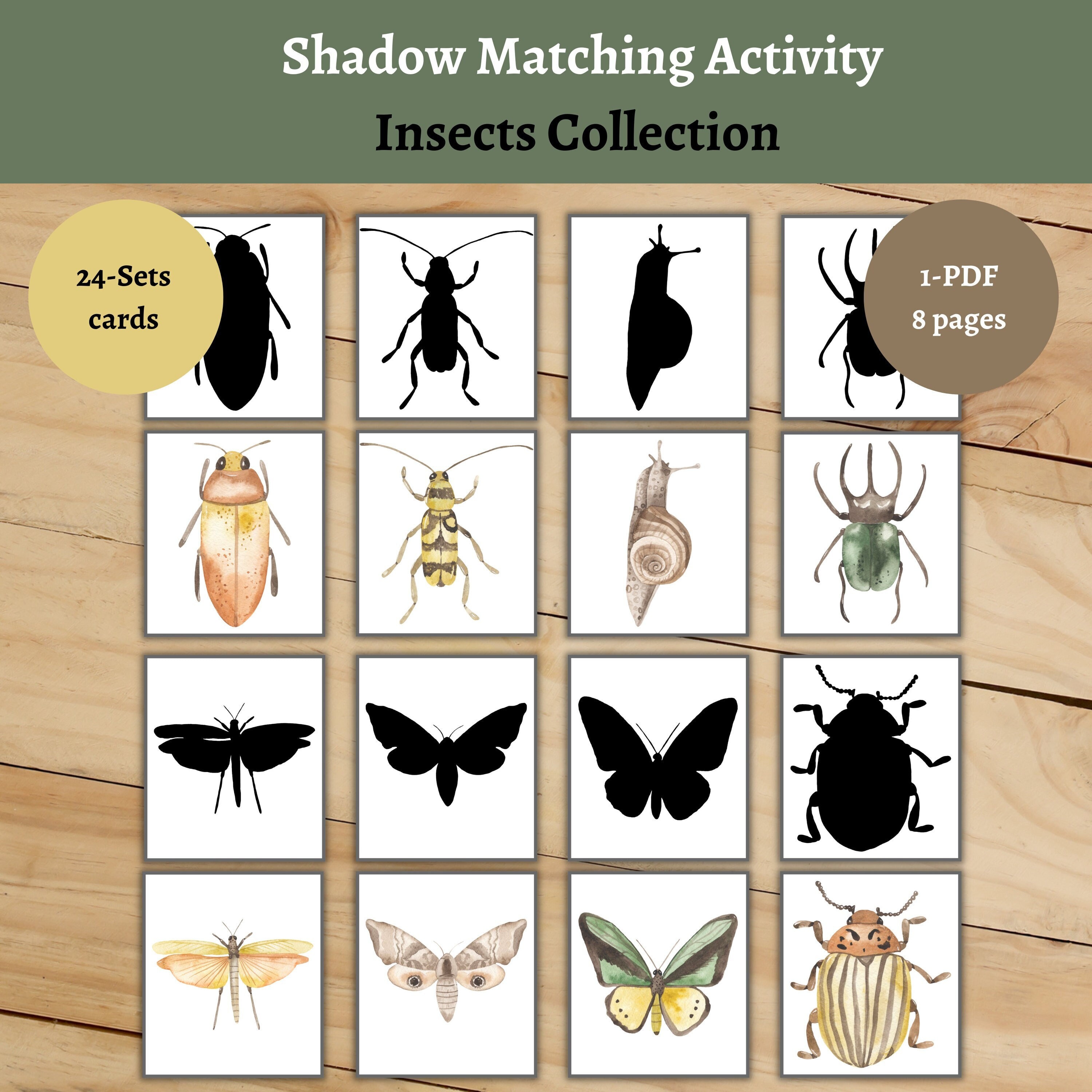 Insects Collection Shadow Matching Cards. Montessori Insects Preschool ...