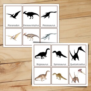 Dinosaurus Prehistoric.part3- Shadow Matching Cards, Montessori Toddler ...