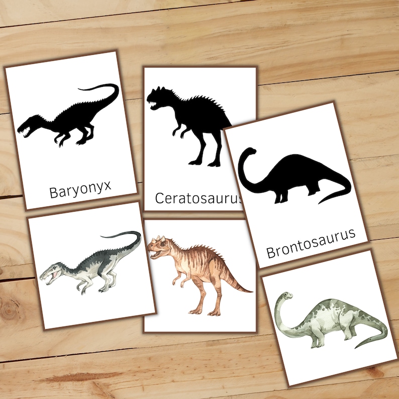 Dinosaurus Prehistoric.part1- Shadow Matching Cards, Montessori Toddler ...
