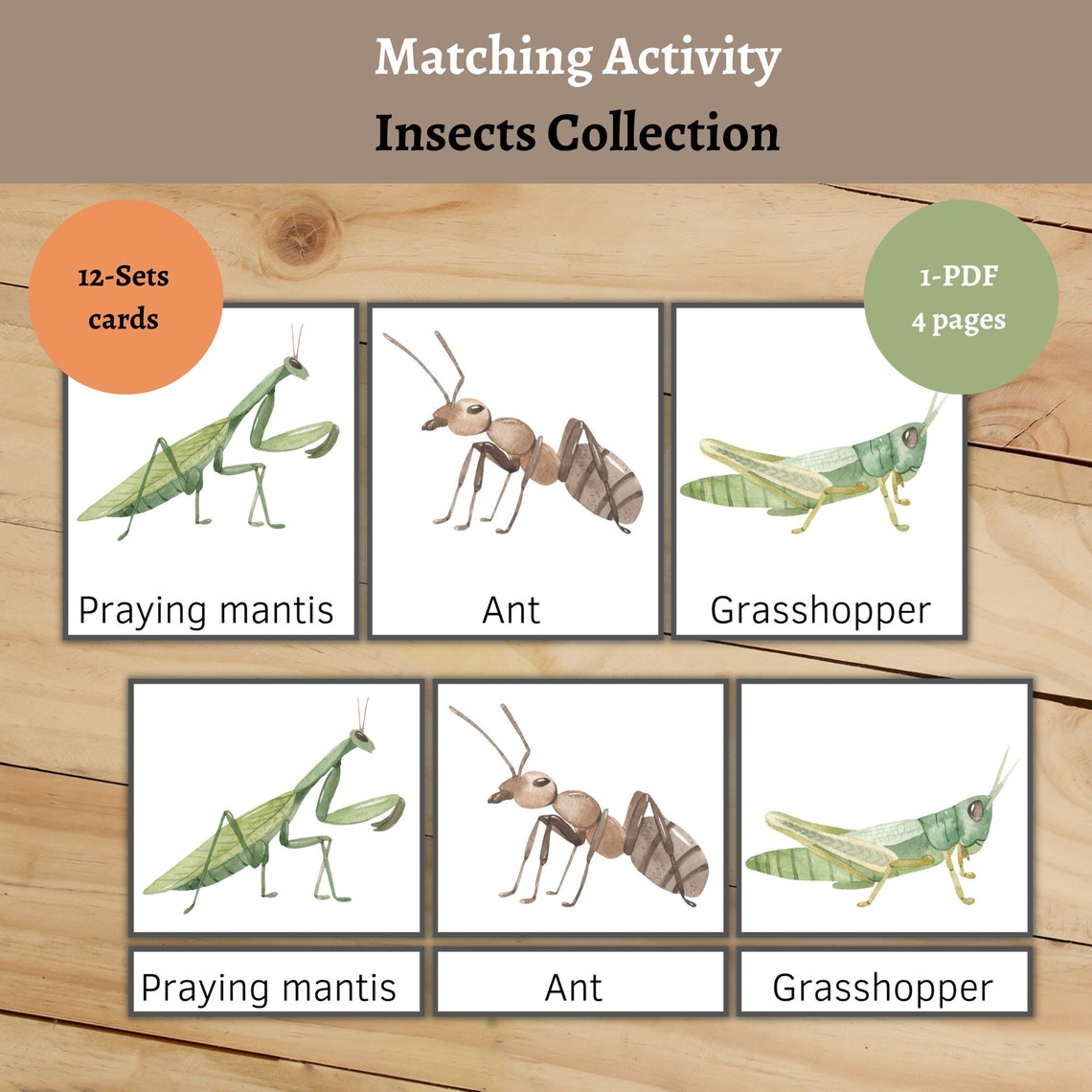 Insects Collection-montessori Printable 12 Set Cards. Insects ...