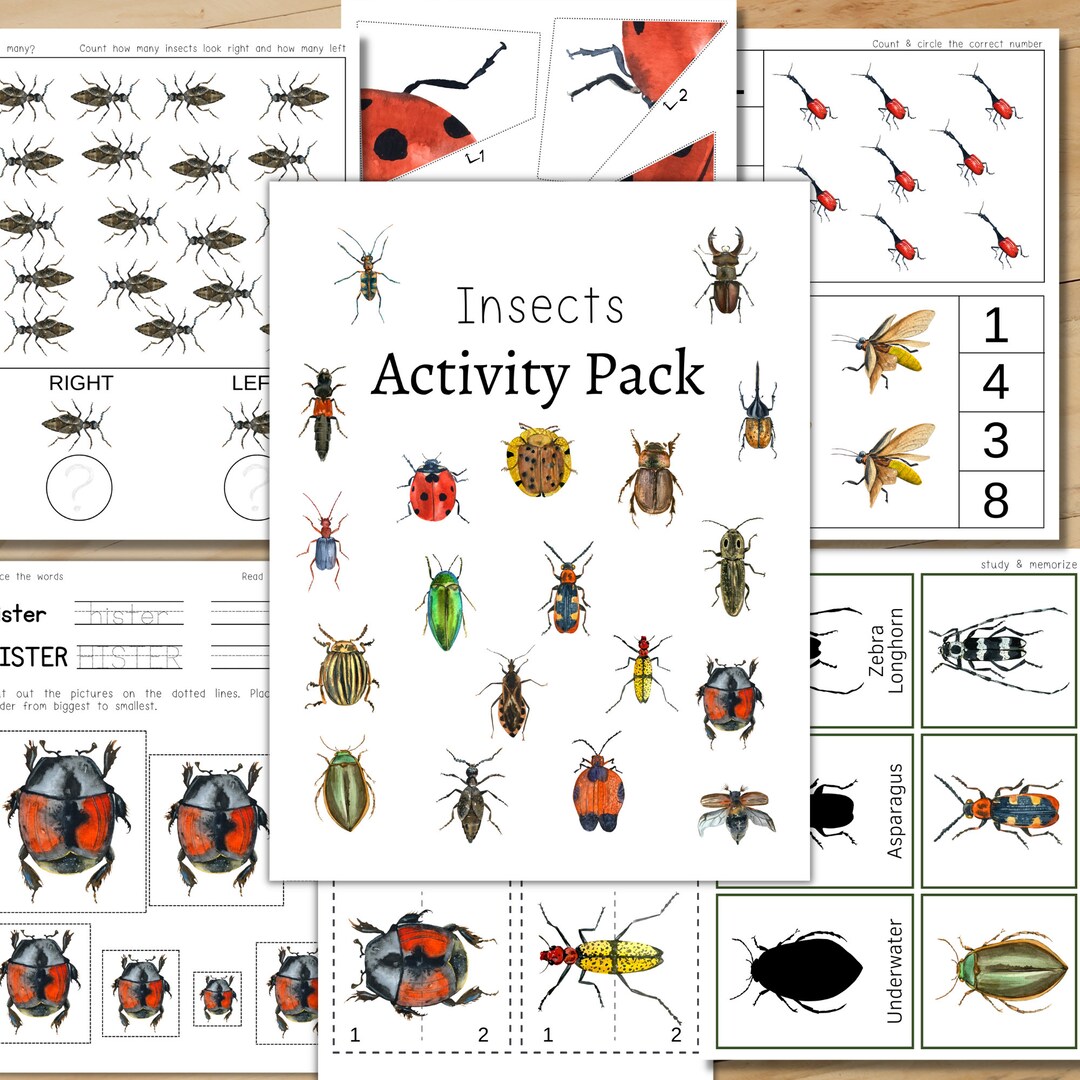 Insects - ACTIVITY Pack, Handwriting, Homeschool Printable, Montessori ...