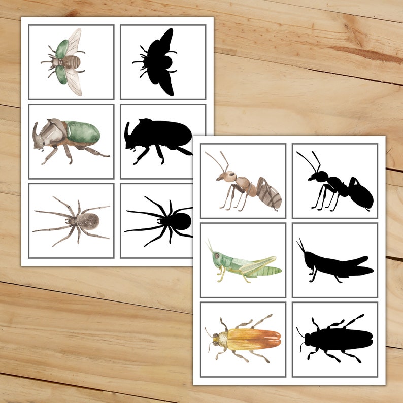Insects Collection Shadow Matching Cards. Montessori Insects Preschool ...