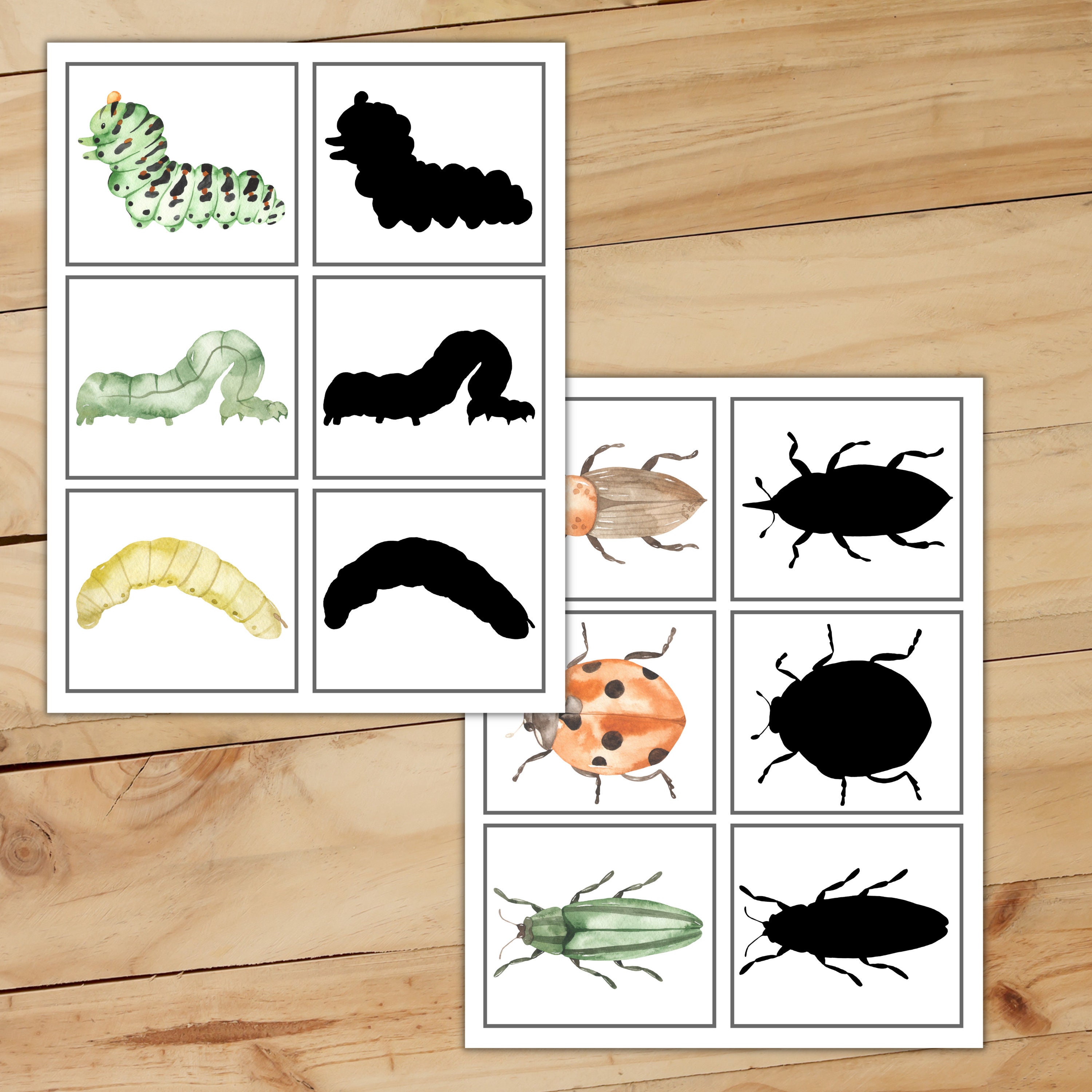 Insects Collection Shadow Matching Cards. Montessori Insects Preschool ...