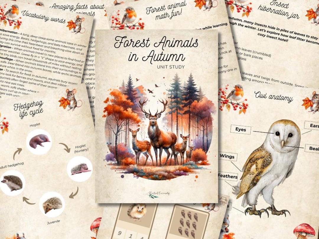 Forest Animals Autumn Nature Study: Homeschool Printable Workbook (PDF ...