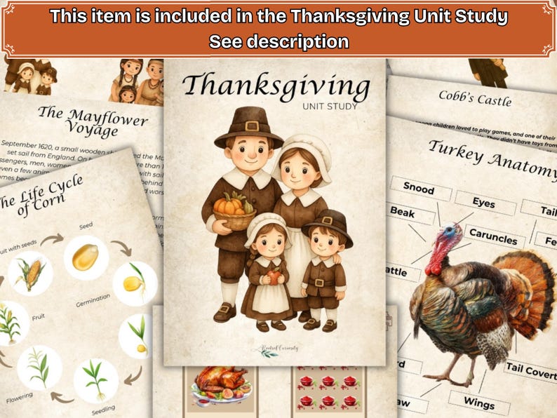 Corn Life Cycle Printable: Thanksgiving Science Activity (PDF Download ...