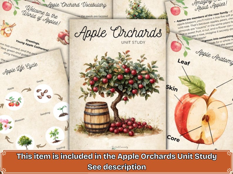 Apple Life Cycle Printable: Cut & Paste Science Activity (PDF Download ...
