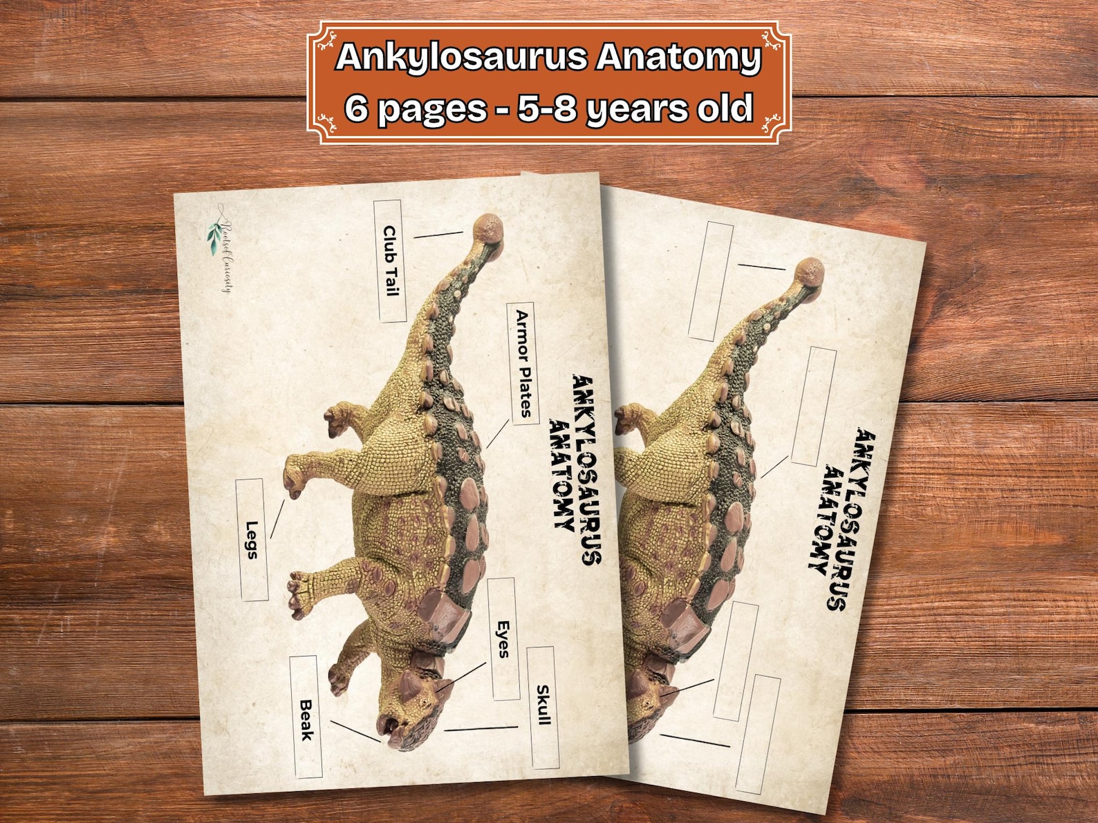 Ankylosaurus Anatomy Printable: Dinosaur Science Activity (PDF Download ...