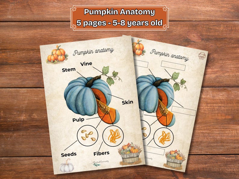 Pumpkin Anatomy Printable: Fall Science, Cut & Paste Activity (PDF) - Etsy
