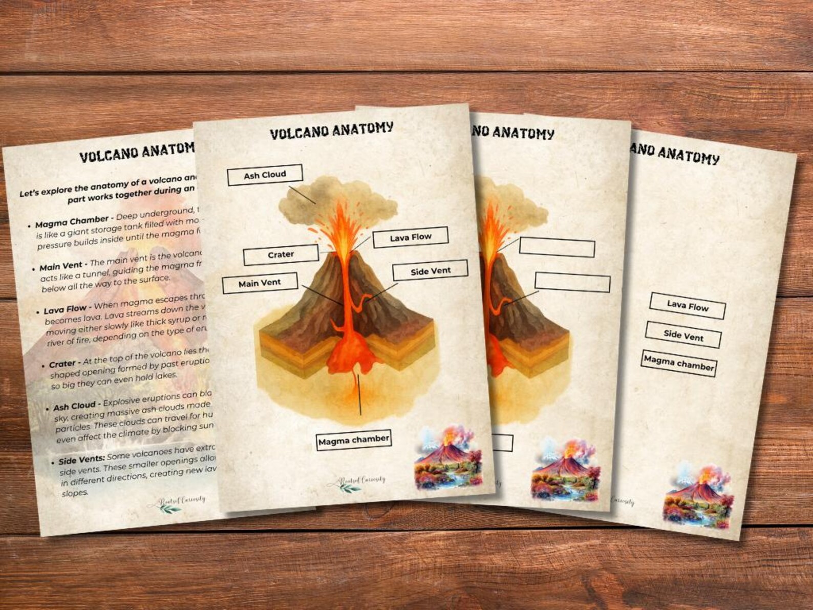 Volcano Anatomy Printable: Earth Science, Cut & Paste (PDF Download) - Etsy