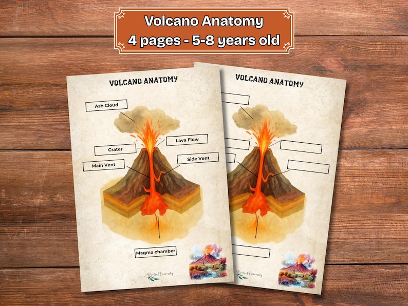 Volcano Anatomy Printable: Earth Science, Cut & Paste (PDF Download) - Etsy