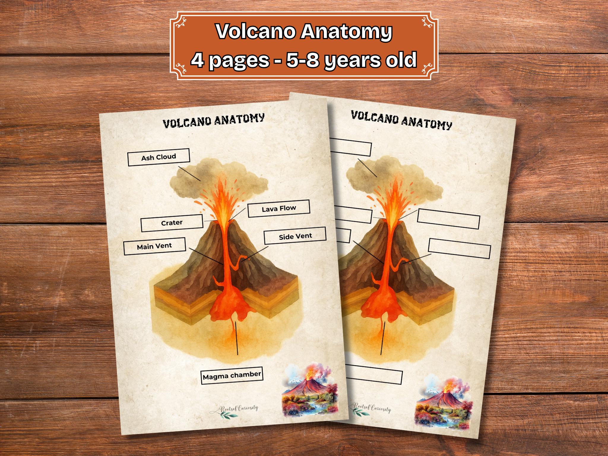Volcano Anatomy Printable: Earth Science, Cut & Paste (PDF Download) - Etsy