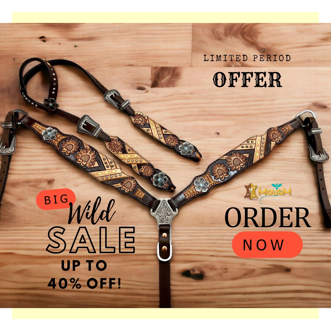 Leather Headstall Tack Set, Western Headstall and Breastcollar Sun ...