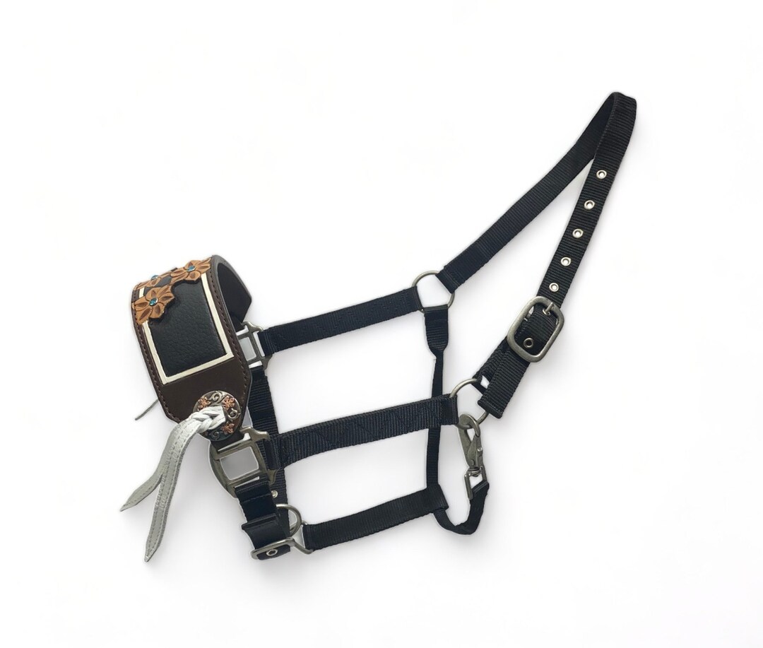 Genuine Argentina Leather Bronc Halter: Western Flower Concho Horse ...