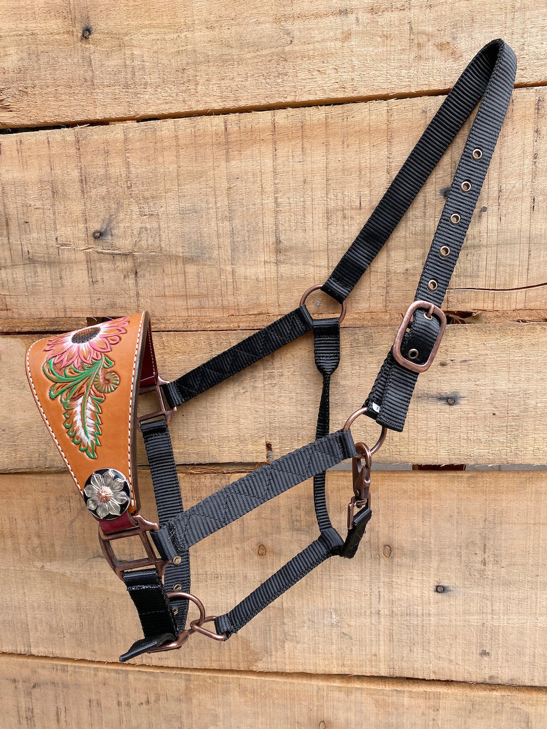 Genuine Argentina Cow Leather Bronc Halter for Horses, Decorated With ...