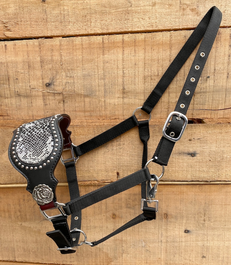 Handmade Leather Bronc Halter: Rose Concho, Snake Print, Silver Studs ...