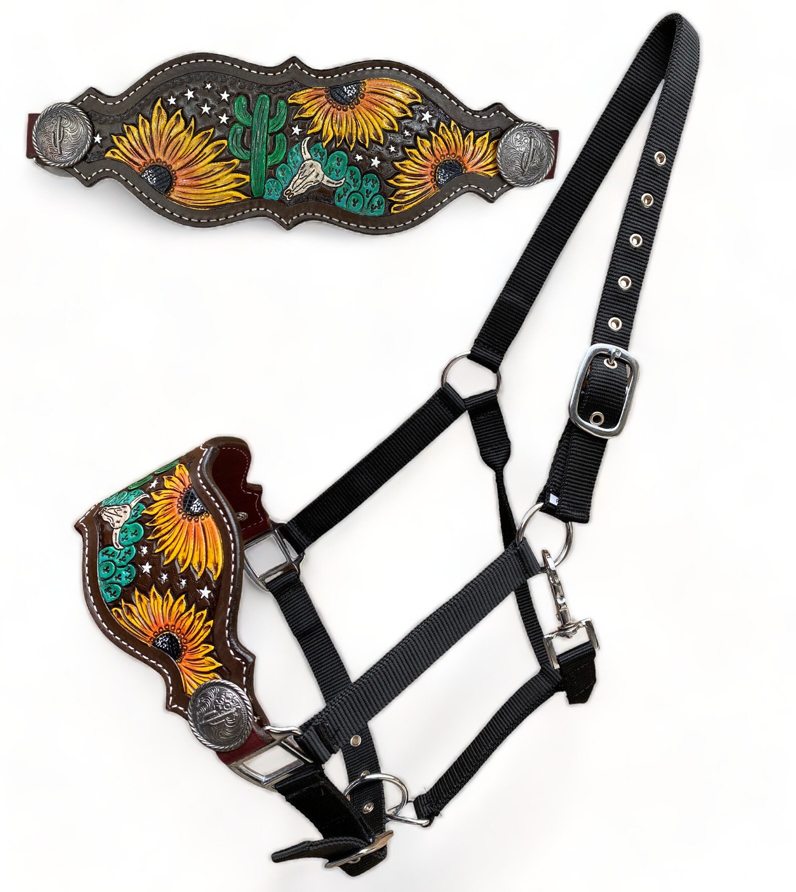 Argentina Leather Bronc Halter: Sunflower Cactus Conchos, Hand-painted ...