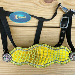 Genuine Argentina Cow Leather Bronc Halter for Horses, Bronc Halter ...