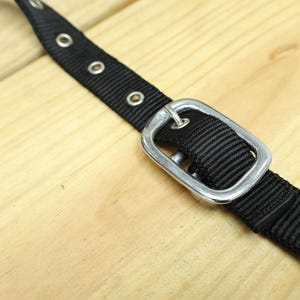 Genuine Argentina Cow Leather Bronc Halter for Horses, Bronc Halter ...