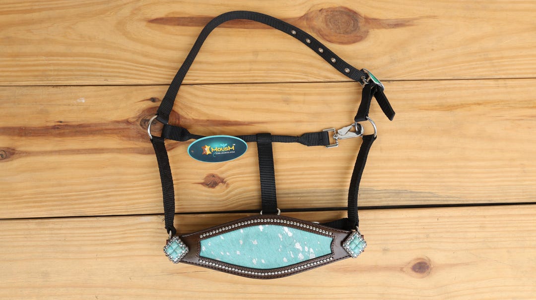 Leather Bronc Halter: Turquoise Cowhide Noseband, Western Horse Tack - Etsy