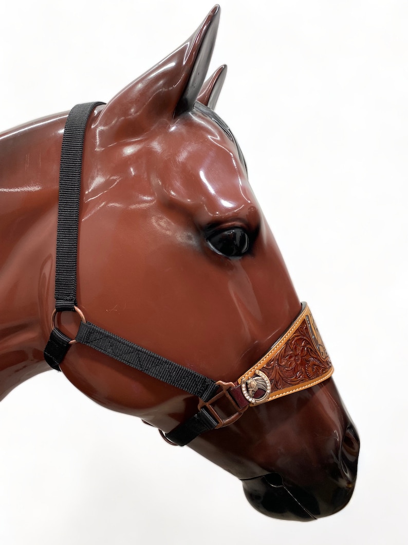 Genuine Argentina Cow Leather Bronc Halter for Horses, Decorated With ...