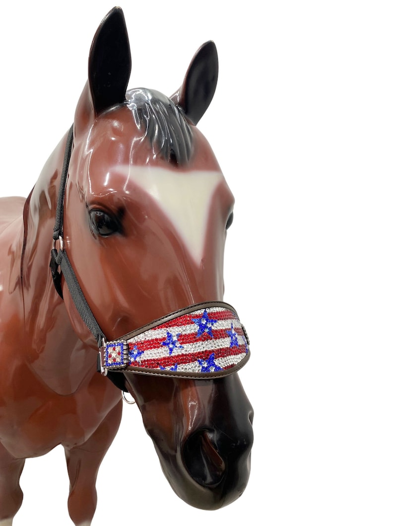 Genuine Argentina Cow Leather Bronc Halter for Horses, Decorated With ...