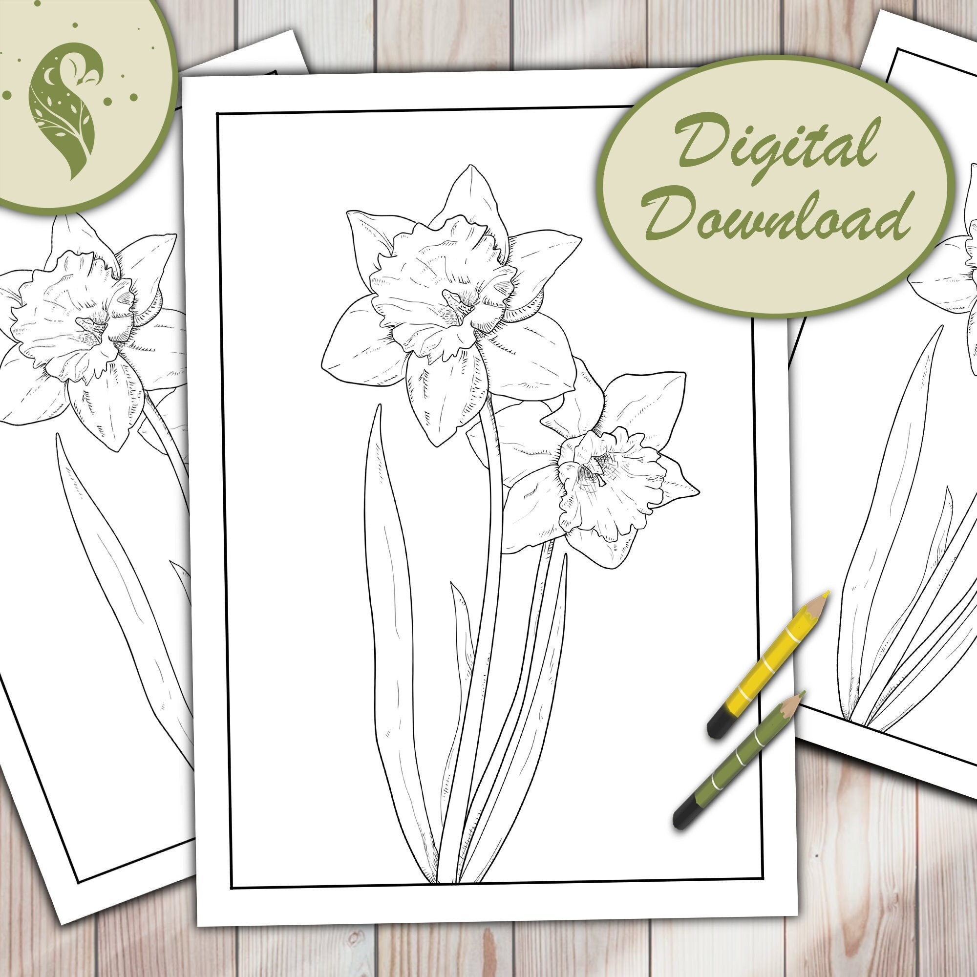 Daffodil Coloring Pages