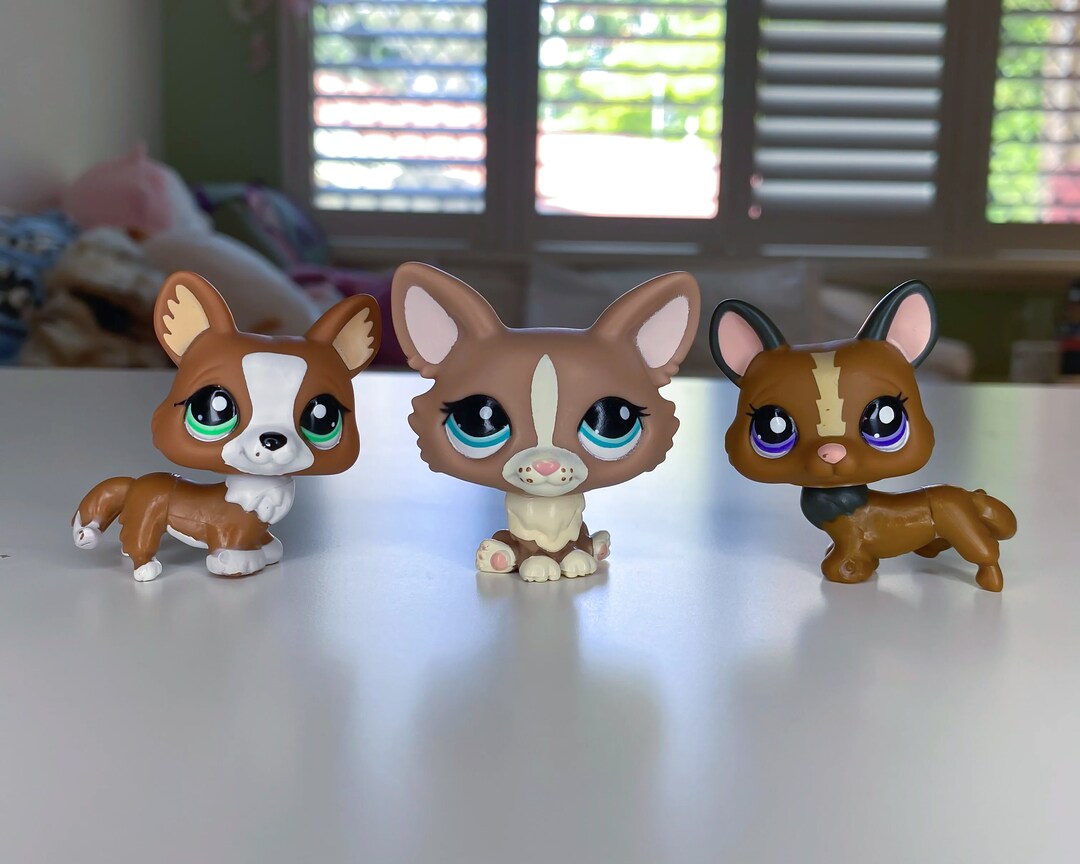 Pick-a-pet Littlest Pet Shop Authentic LPS Corgi - Etsy