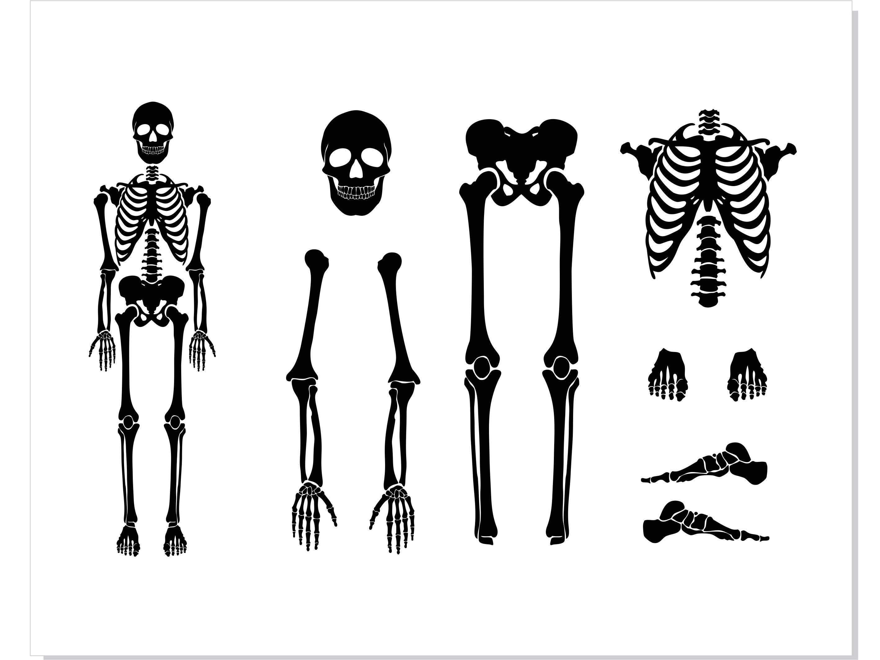 Bones Font Otf Bones Font Svg Skeleton Parts Svg Halloween - Etsy Bones Font Otf Bones Font Svg Skeleton Parts Svg Halloween - Etsy