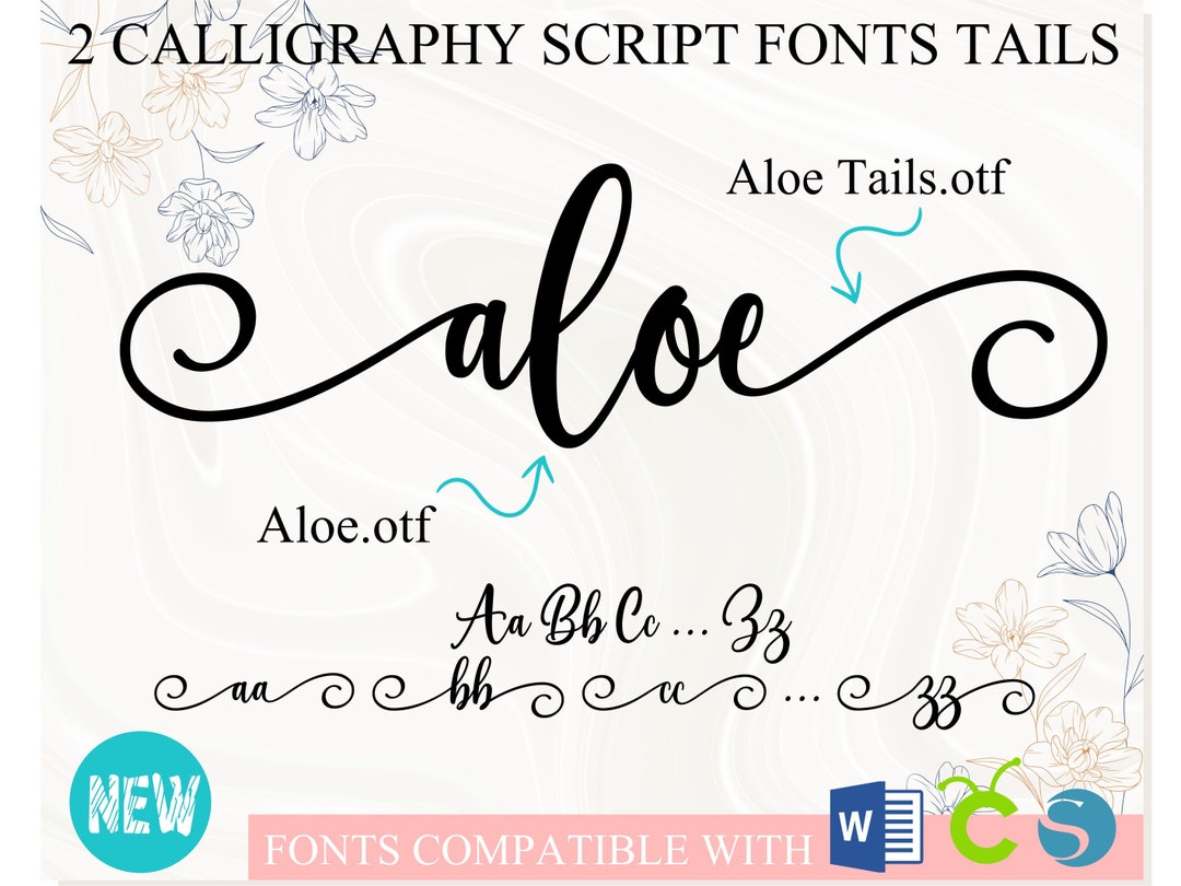 Aloe Font With Tails | Romantic Fonts, Script Fonts, Beautiful Fonts ...